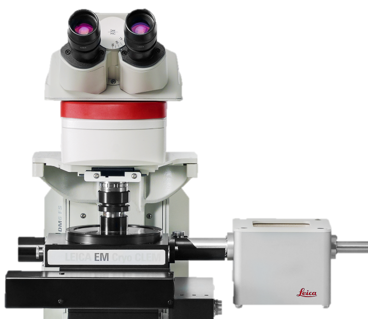 Sistema Confocal Leica Stellaris 5 | BIO-OPTIC S.R.L.
